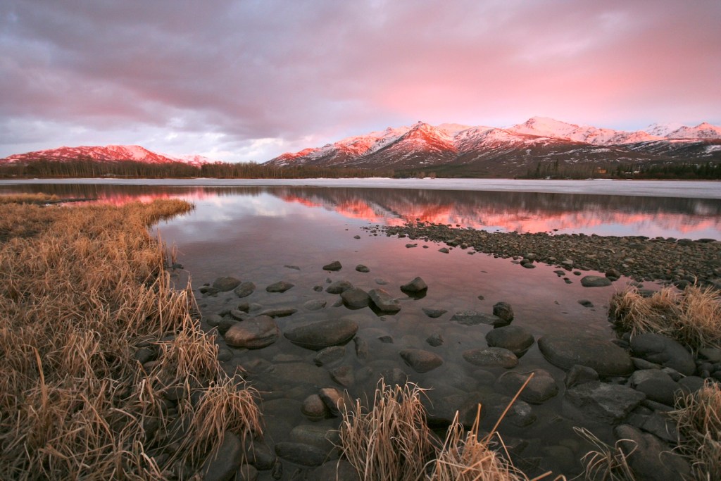 An Ode to Otto Lake | Planet Bell